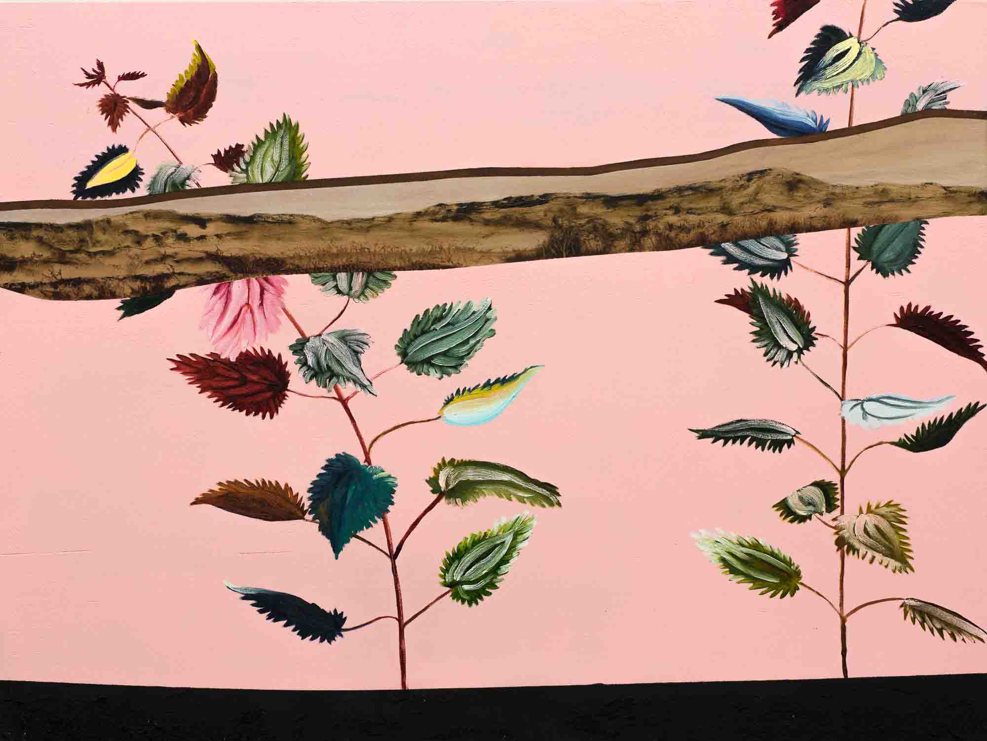 Tumbling Earth 2025 – Deirdre Frost